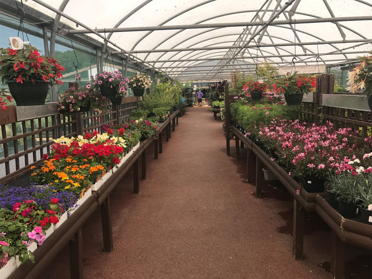The Garden Centre - Redcliffe Garden Centre | Local Garden Centre in ...